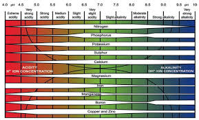 Nutrient Management - Greens Horticulture